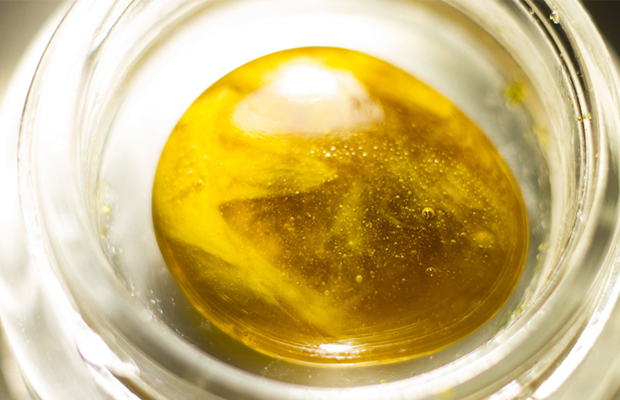 A Journey for Oil | Cannabis Now