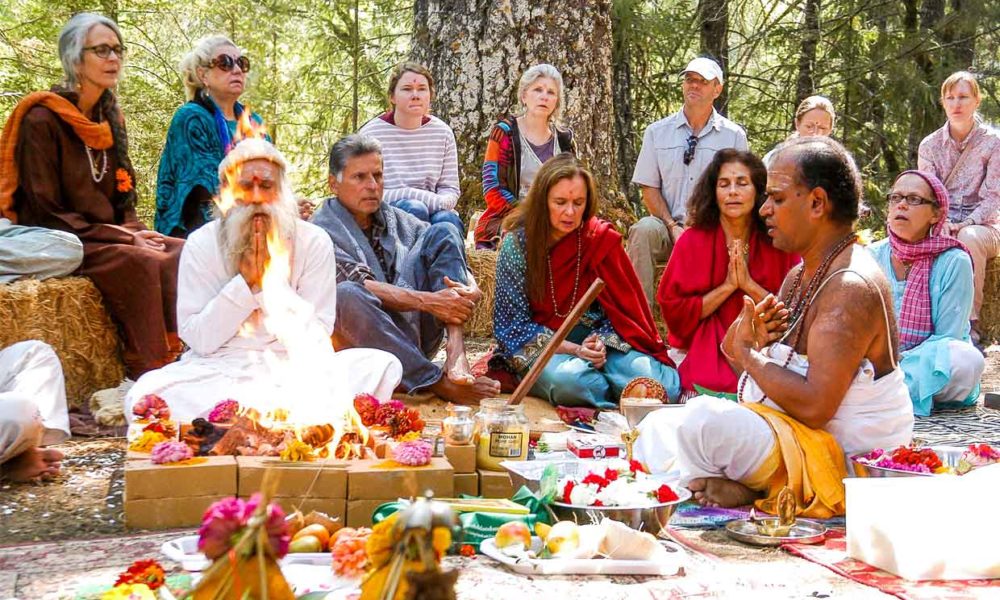 Swami Select: Sun, Moon & Star Grown | Cannabis Now