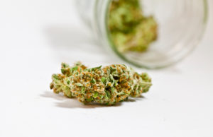 Colorado Gov. Proposes 50% Cannabis Tax Increase | Cannabis Now