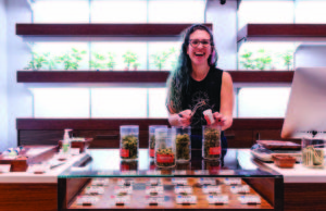 Dispensary Review: Farma | Cannabis Now
