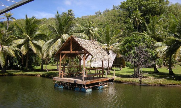 Patients Struggle as Medical Marijuana in Guam Faces Delays | Cannabis Now