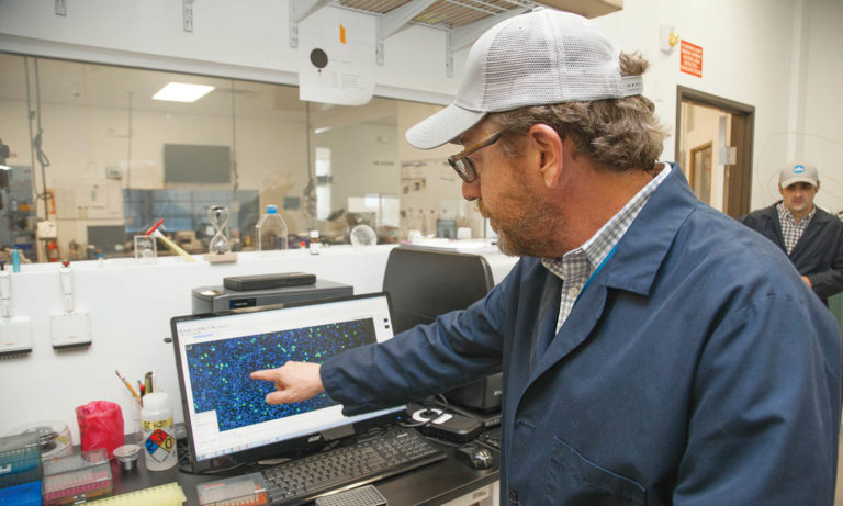 Editing the Cannabis Genome with Ebbu | Cannabis Now