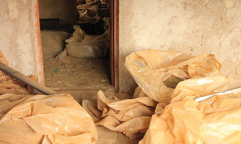 A Journey to the Heart of Moroccan Hash | Cannabis Now