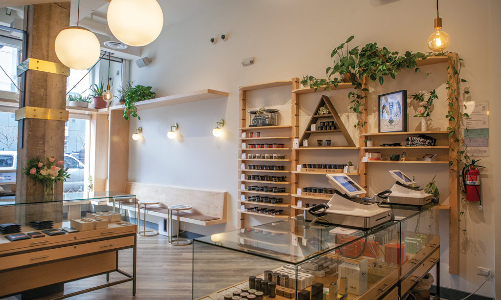 Outgrowth of Adaption: The Vapor Room Returns | Cannabis Now