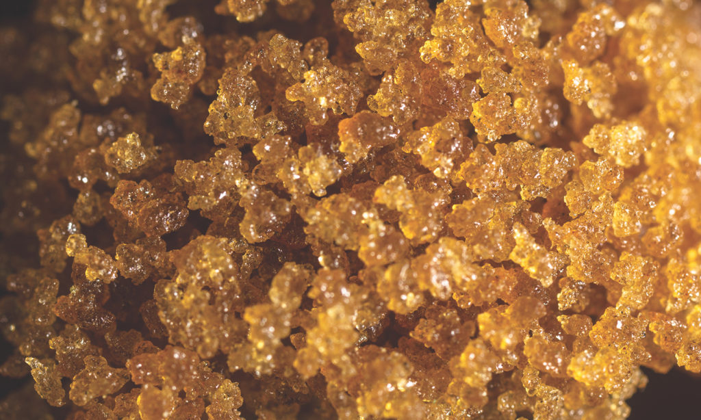 Water Hash 101 from ‘Beyond Buds, Next Generation’