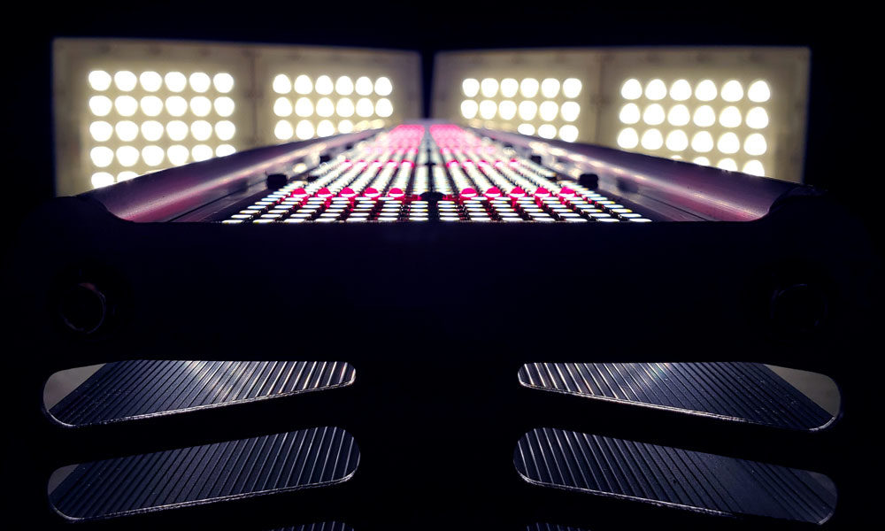 Meet Fohse's New Responsive Grow Light | Cannabis Now
