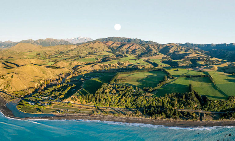 Puro: Growing Extra Green Cannabis in the South Pacific | Cannabis Now