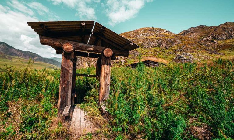 Video Review: Trim Pal | Cannabis Now