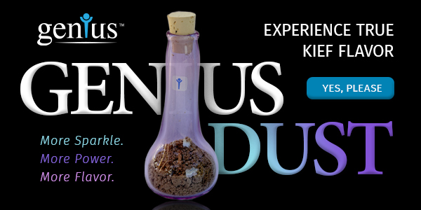 The Top 8 Strains to Celebrate Springtime | Cannabis Now