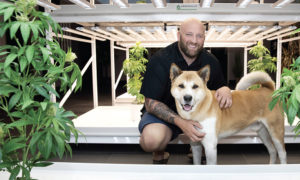 Sanjay Gupta’s Weed 3: The Marijuana Revolution | Cannabis Now