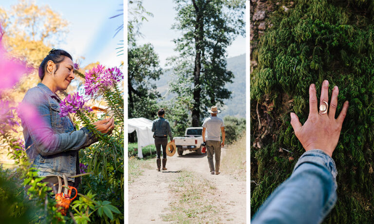 Moon Made Farms: Cultivating Wellness from the Ground Up