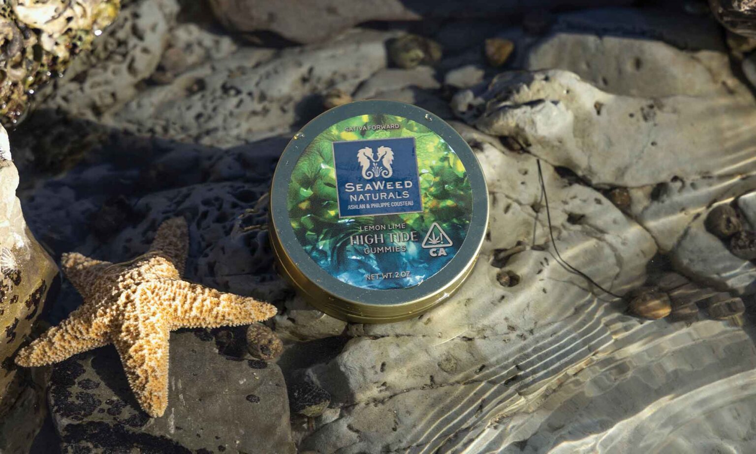 Select Elite Live Cartridge Review: Purity, Potency & Flavor