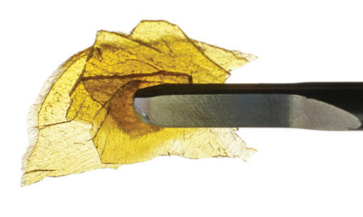 Dabbing 101: A Beginner’s Guide to Cannabis Concentrates