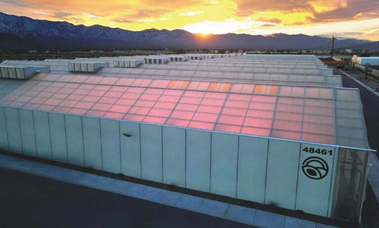 Select Elite Live Cartridge Review: Purity, Potency & Flavor