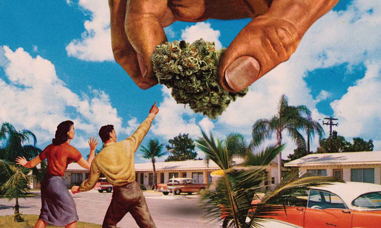 How to Make Cannabis Tinctures With Everclear Grain Alcohol