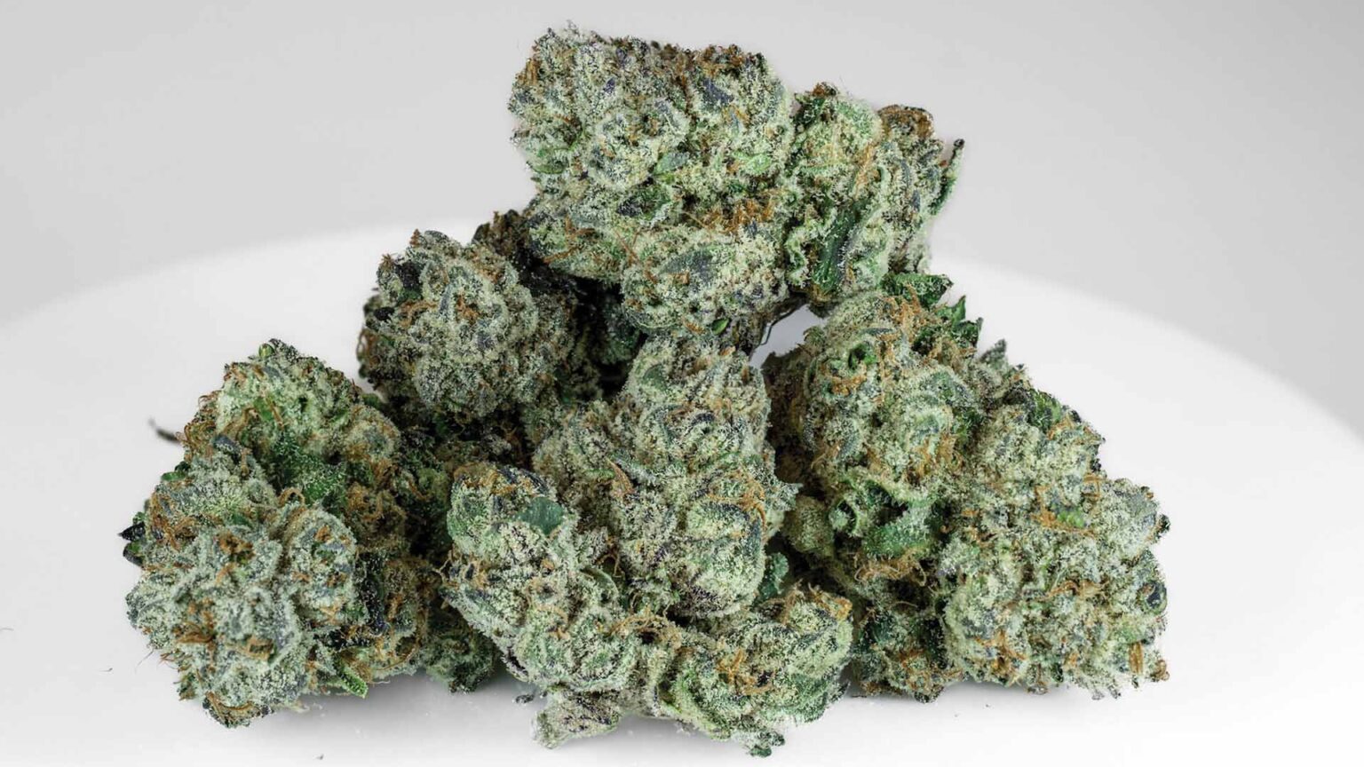 Trichome Israel: Inside Job | Cannabis Now