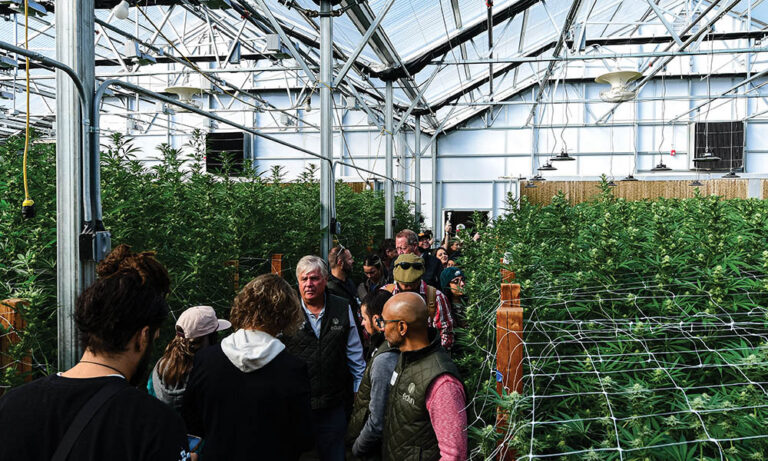 Edun Farms Colorado: A Unique Cannabis Experience | Cannabis Now